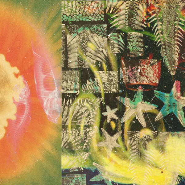 Demons by Nap Eyes (Single): Reviews, Ratings, Credits, Song list ...