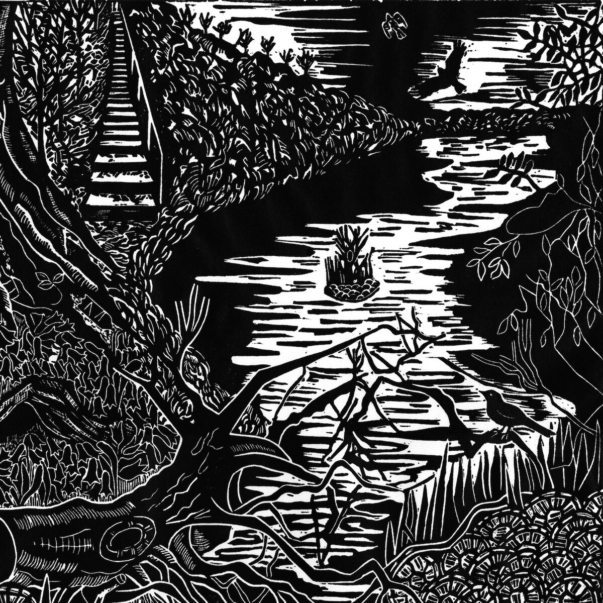 Andy Abbott Albums: songs, discography, biography, and listening guide ...