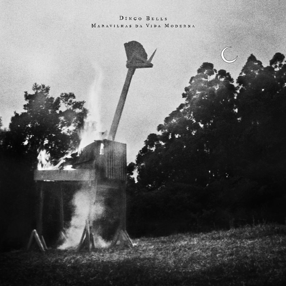 DINGO Albums: songs, discography, biography, and listening guide - Rate ...