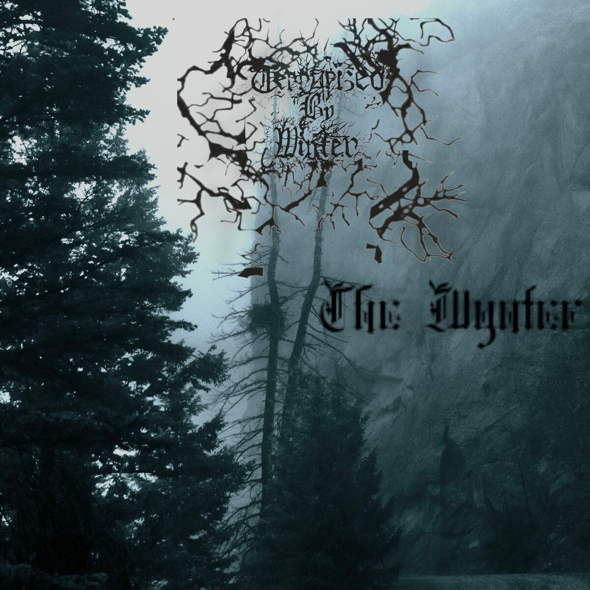 The Wynter by Terrorized by Winter (Album): Reviews, Ratings, Credits ...