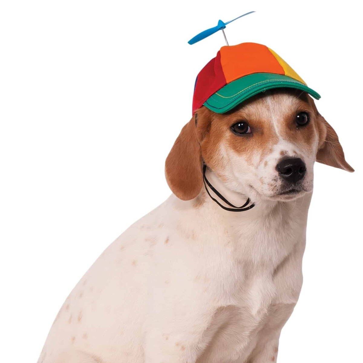 Fetin en el metaverso by Lil Feto (Album): Reviews, Ratings, Credits ...