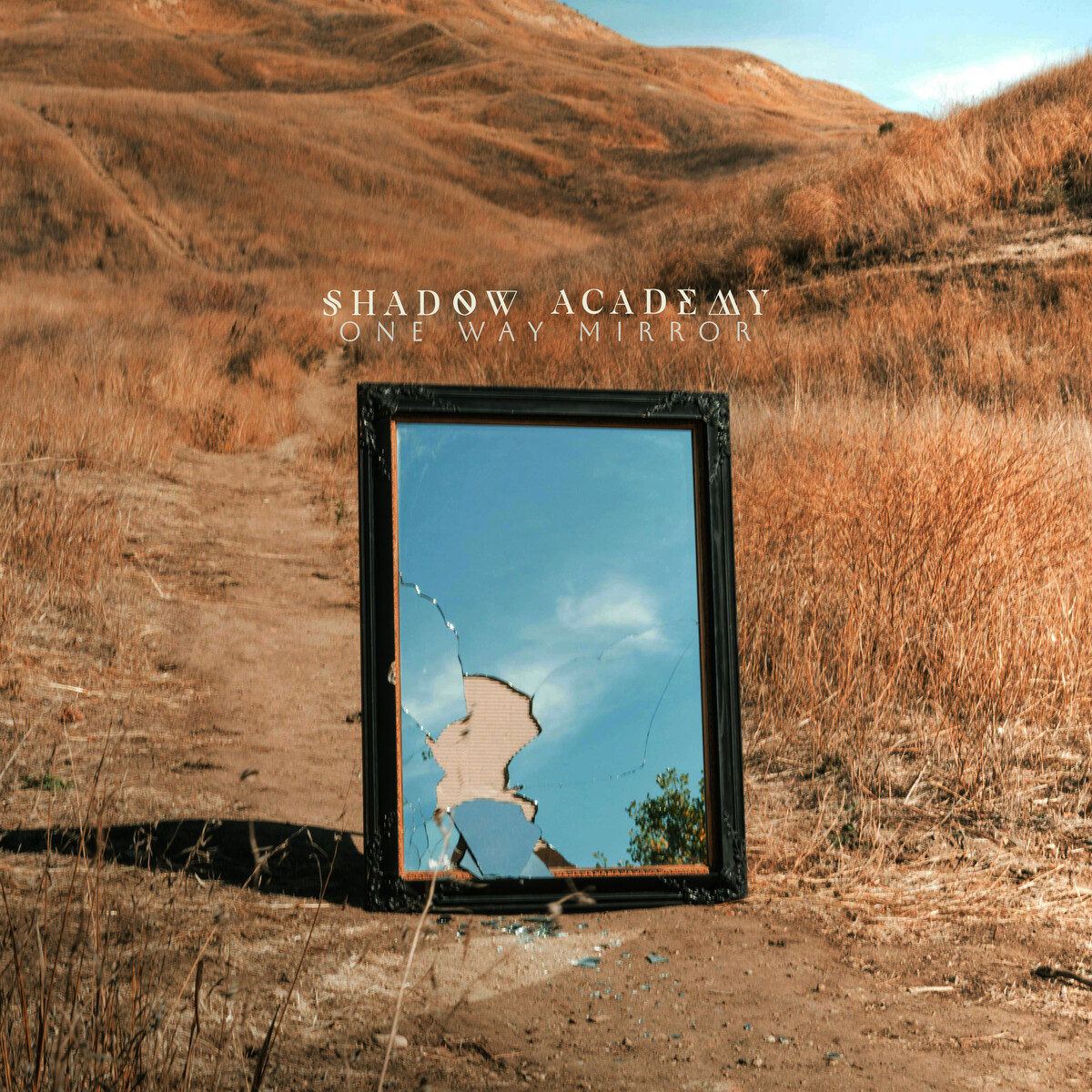 One Way Mirror by Shadow Academy (Single): Reviews, Ratings, Credits, Song list - Rate Your Music