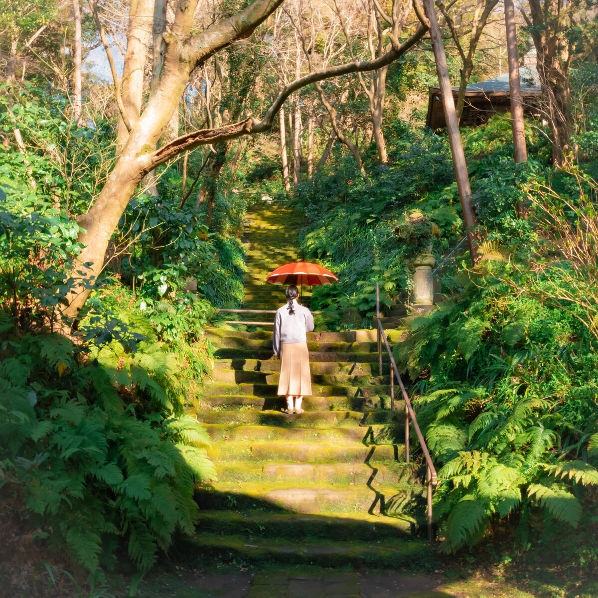 Remind by Rui Fujishiro (Single, Romanticism): Reviews, Ratings ...