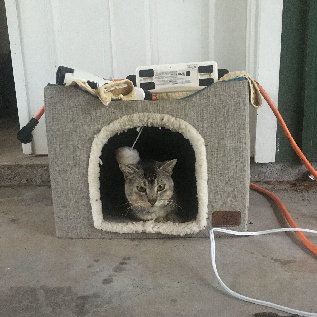 Tao Lin Filmography - Rate Your Music