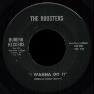 I Wanna Do It by The Roosters (Single): Reviews, Ratings, Credits, Song ...