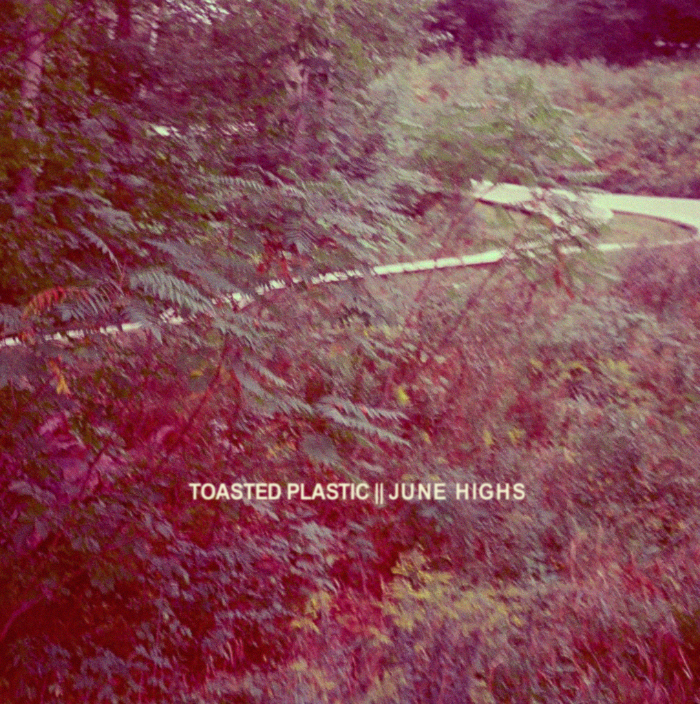 Toasted Plastic Albums: songs, discography, biography, and listening ...