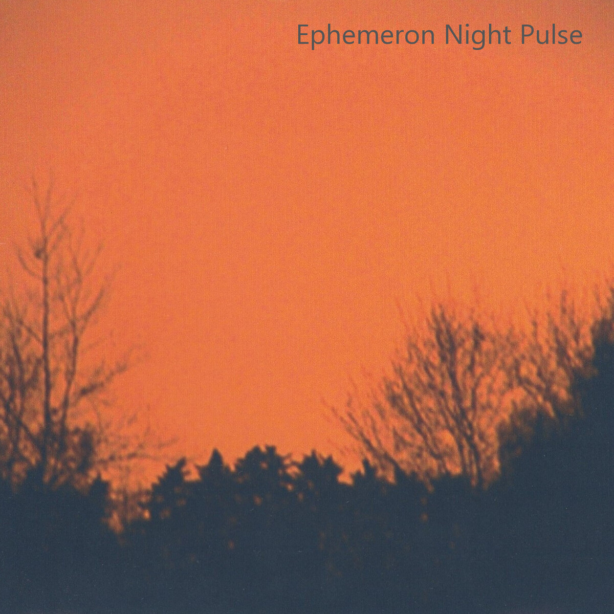 Ephemeron Night Pulse by Somnarium (Album): Reviews, Ratings, Credits ...
