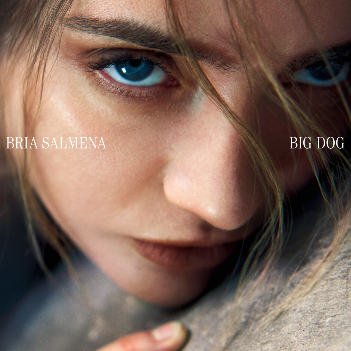 Big Dog by Bria Salmena (Album): Reviews, Ratings, Credits, Song list ...