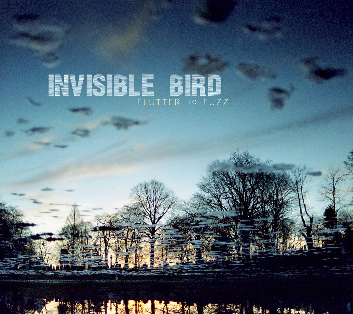 Flutter to Fuzz by Invisible Bird (Album): Reviews, Ratings, Credits ...