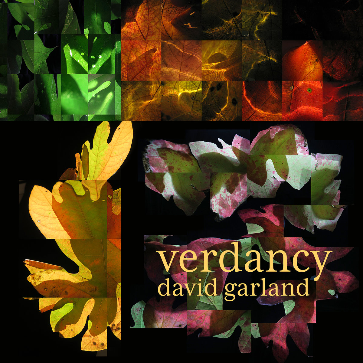 David Garland Albums: songs, discography, biography, and listening ...
