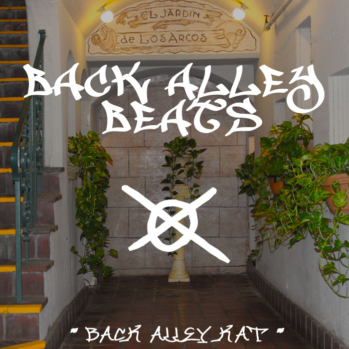 Back Alley Beats by Back Alley Kat (Album): Reviews, Ratings, Credits ...