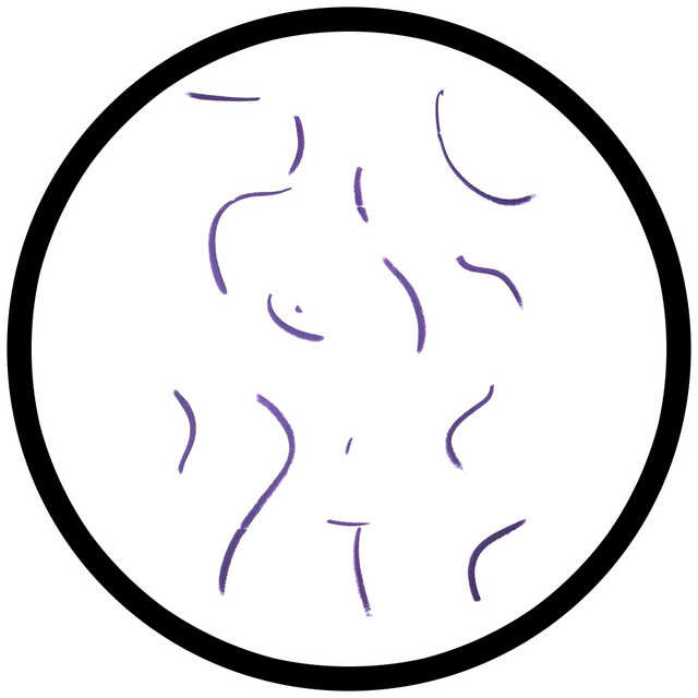 Roll Play by PAWSA (Single, Deep Tech): Reviews, Ratings, Credits, Song ...