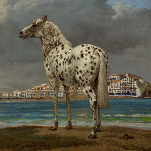 Spain by Home Counties (Single; Submarine Cat): Reviews, Ratings ...