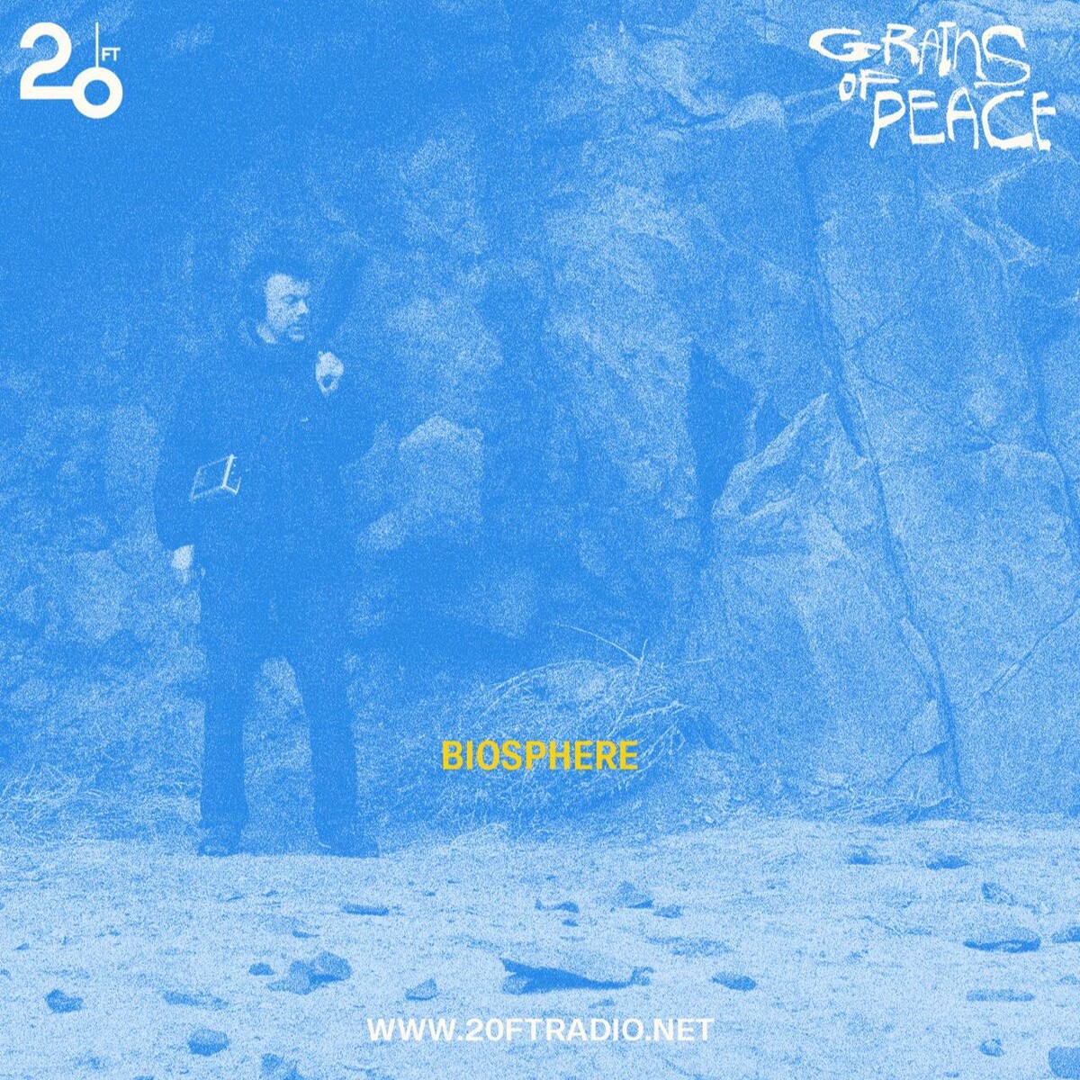 Grains of Peace by Biosphere (DJ Mix): Reviews, Ratings, Credits, Song ...