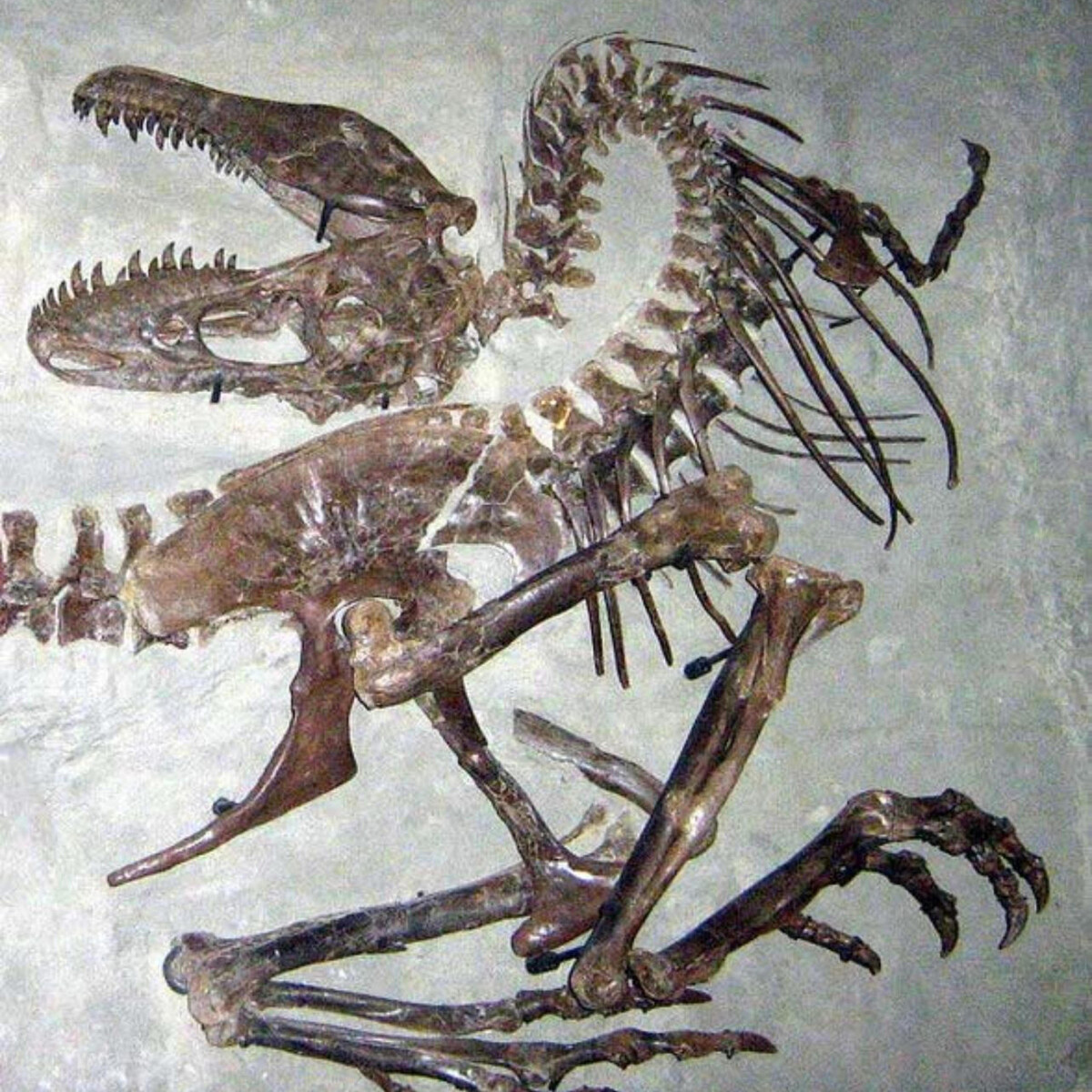 Skeletrix Experimental (1) by Skeletrix Island Radio 66.7 (Single ...