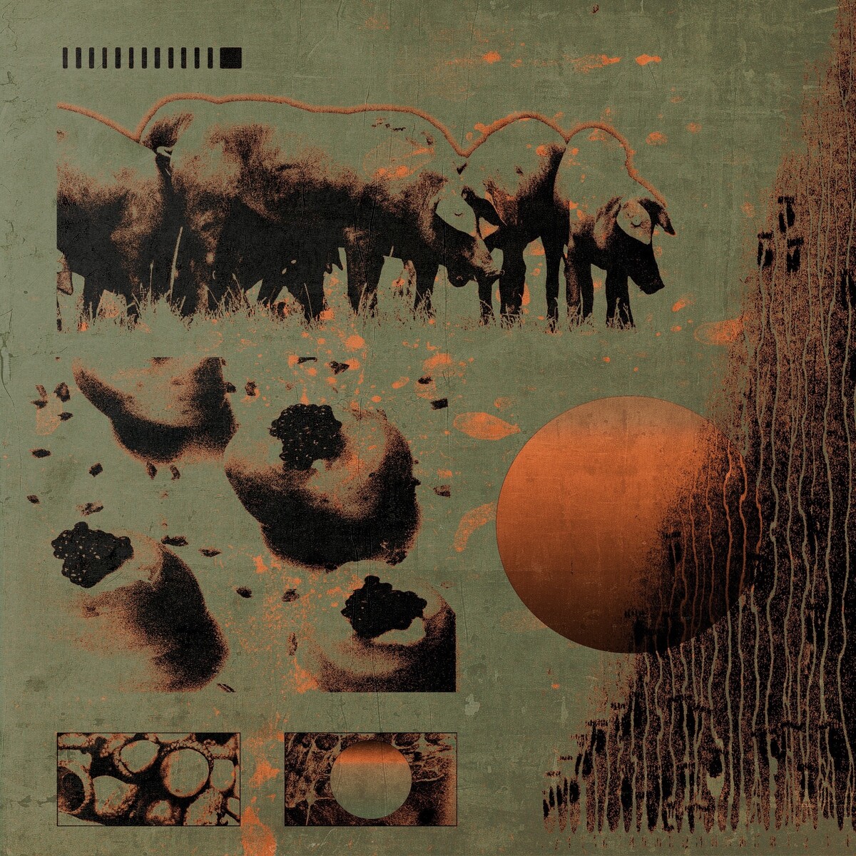 Acorndiet by Blvck Svm (Single): Reviews, Ratings, Credits, Song list ...