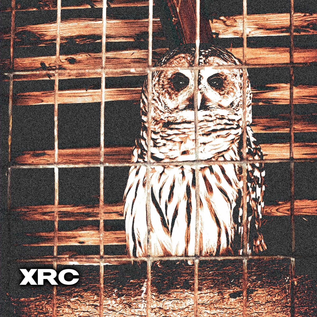 Apparition Superstition by Xander Raymond Charles (EP, Alternative ...