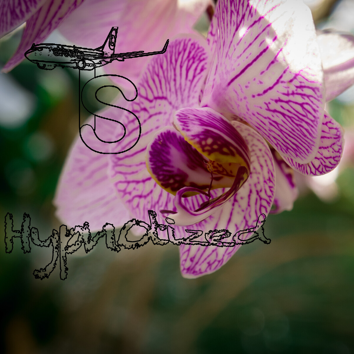 Hypnotized by Tom Spander (Single): Reviews, Ratings, Credits, Song list - Rate Your Music