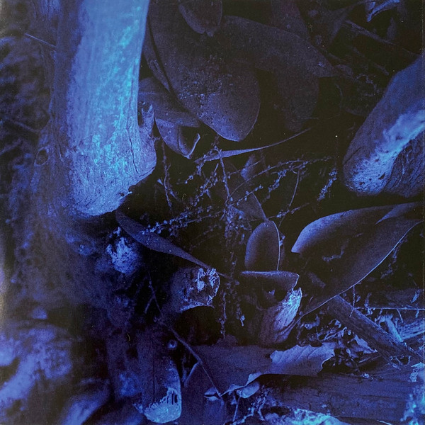 Deathlike Silence by Deathlike Silence (EP, Black Metal): Reviews ...