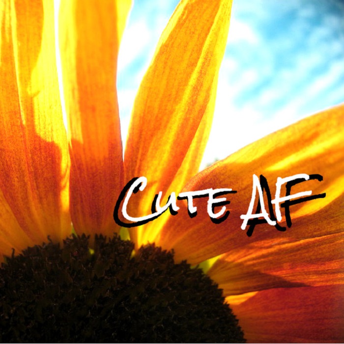 Cute Af by Jake Edwards (Album): Reviews, Ratings, Credits, Song list ...