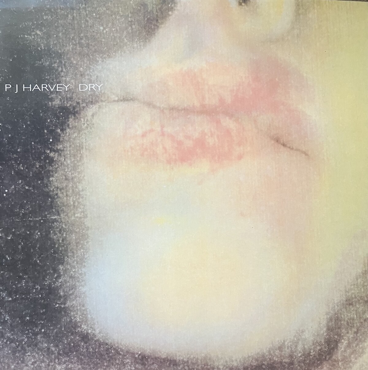 Dry by PJ Harvey (Album; Too Pure; PUR 10): Reviews, Ratings, Credits ...