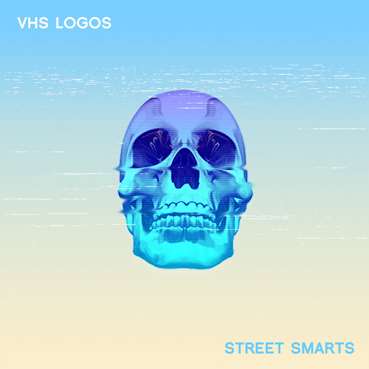 Street Smarts by VHS Logos (Album): Reviews, Ratings, Credits, Song ...