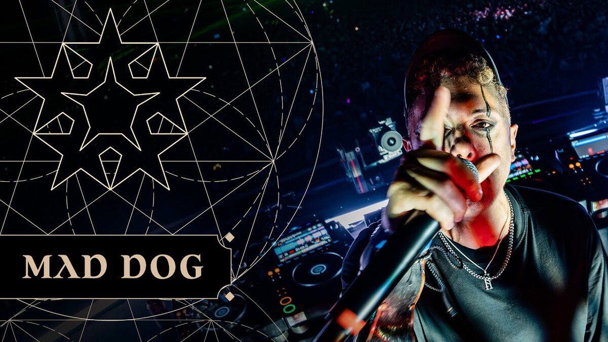 Mad Dog Albums: songs, discography, biography, and listening guide ...