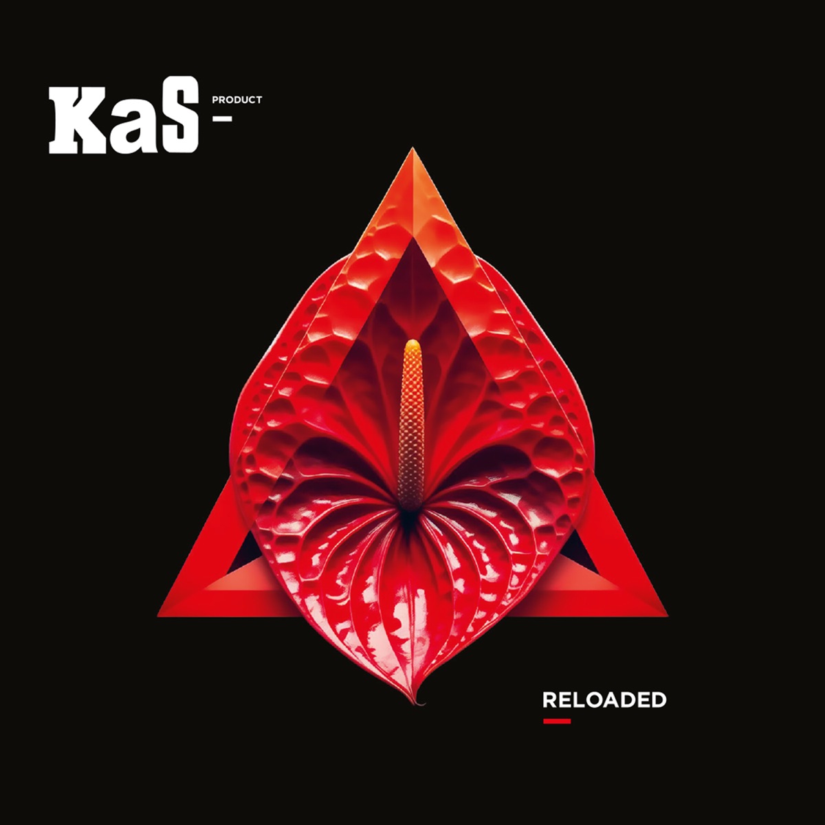 Reloaded by KaS Product Reload (Album): Reviews, Ratings, Credits, Song ...