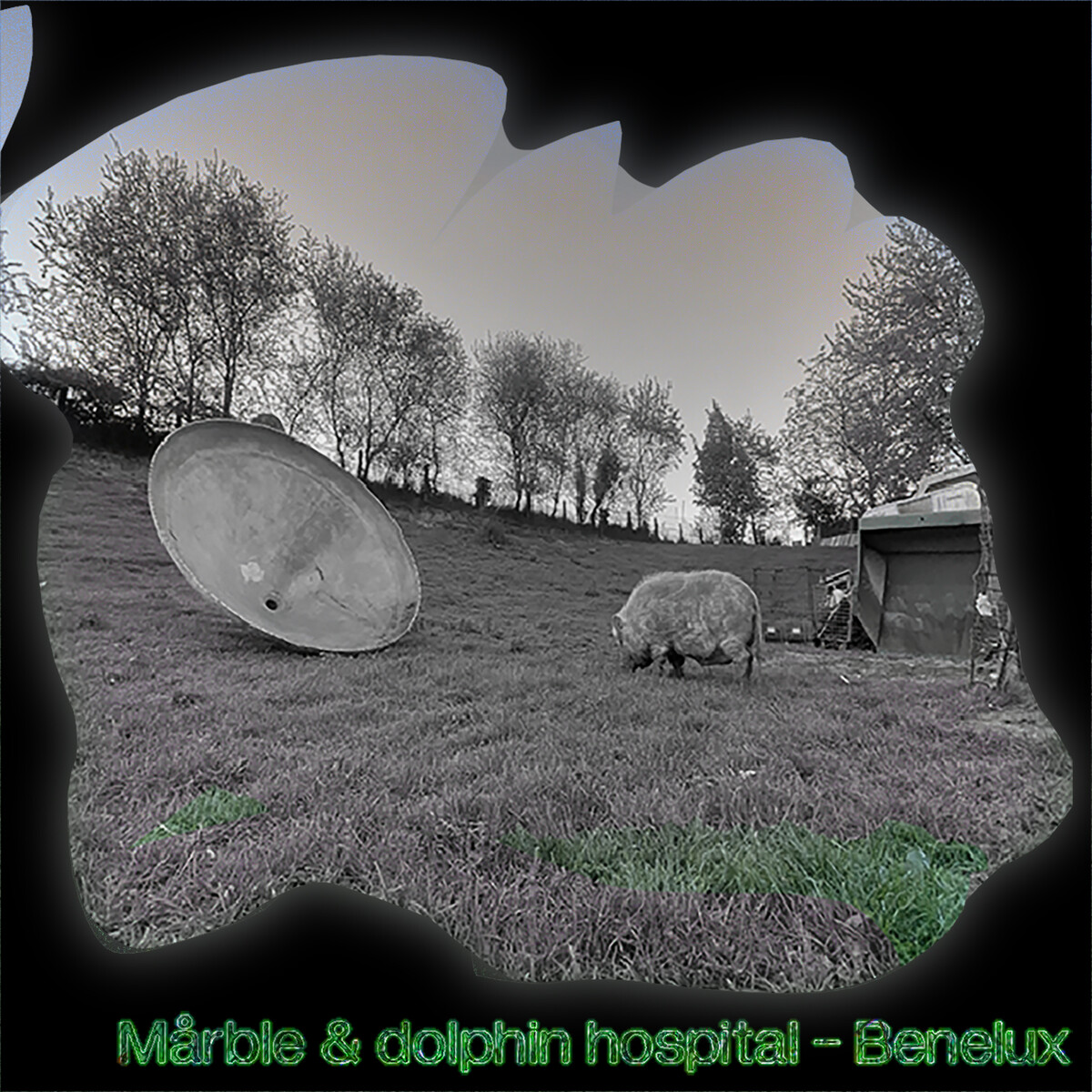 Benelux by Mårble & dolphin hospital (Album): Reviews, Ratings, Credits ...