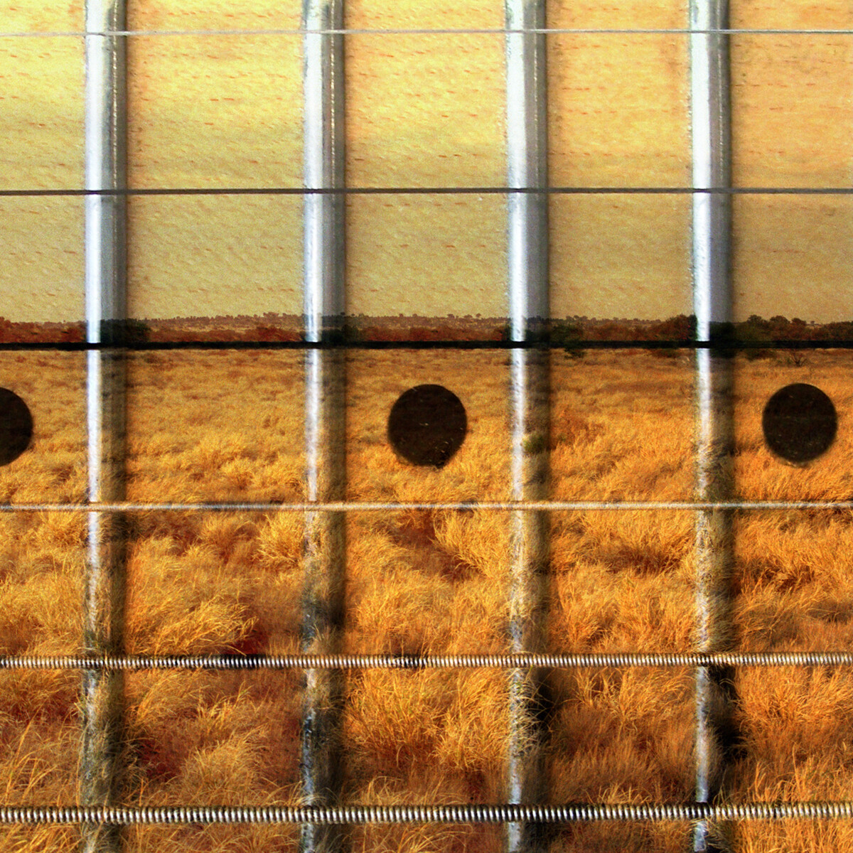 Paul Lenart Albums: songs, discography, biography, and listening guide ...