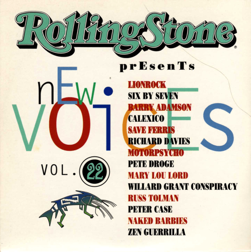 New Voices Vol. 22 by Various Artists (Compilation, Rock): Reviews ...