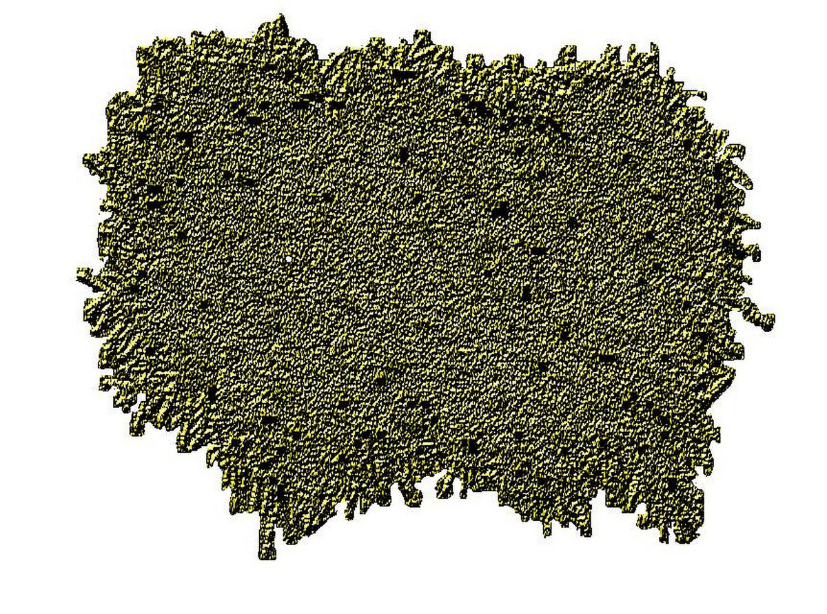 4 Molded Songs of Corpse Faces and Severed Assholes by Mangoworm ...