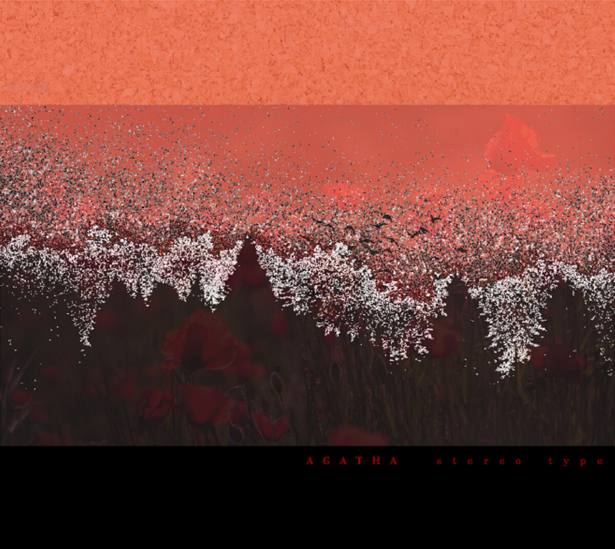 stereo type Albums: songs, discography, biography, and listening guide ...