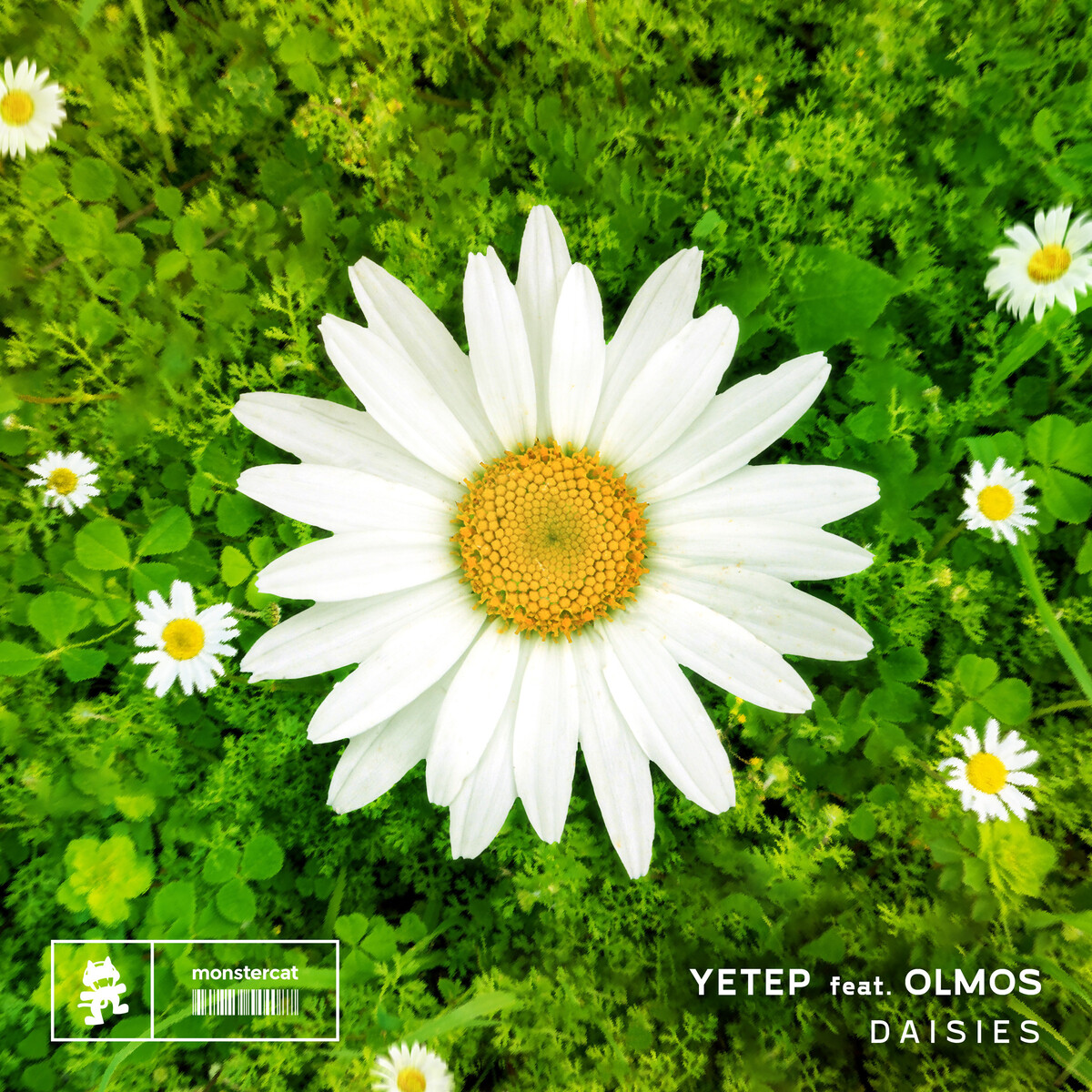 Daisies by Yetep (Single, Melodic Dubstep): Reviews, Ratings, Credits ...