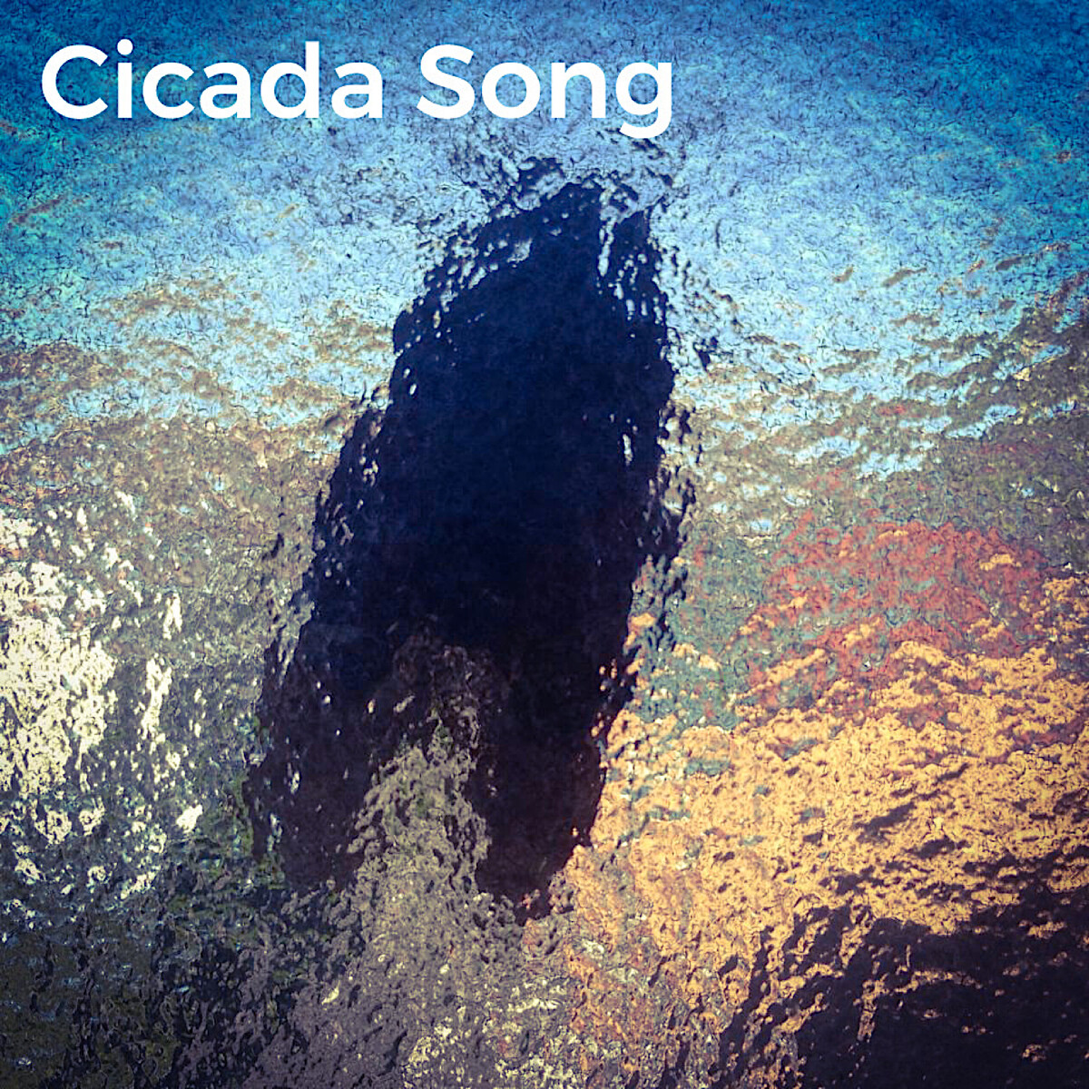 Cicada Song by Hoodoo Fushimi (Single): Reviews, Ratings, Credits, Song ...