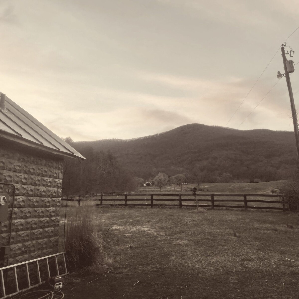 Dewey by Deer park (Single): Reviews, Ratings, Credits, Song list ...