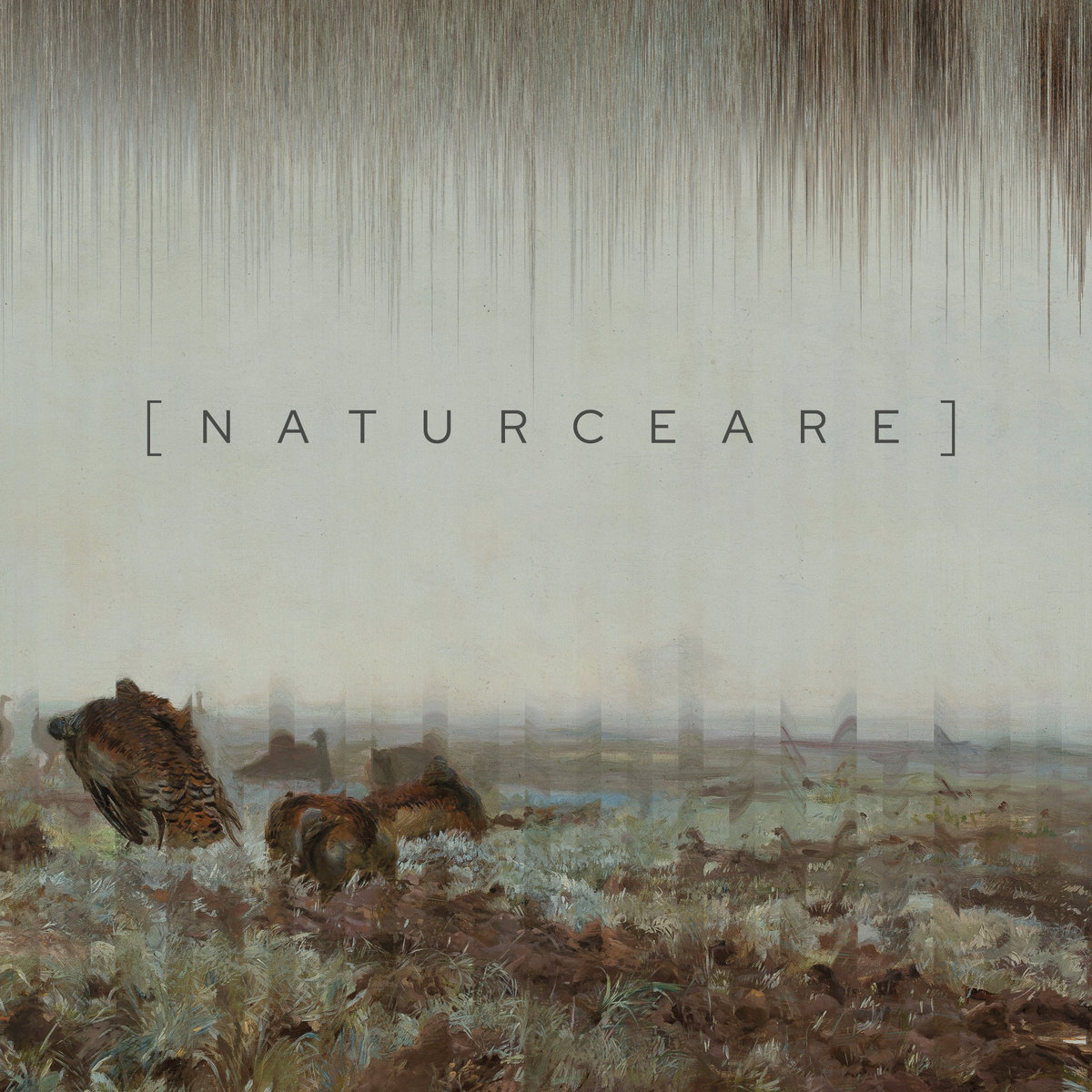 Naturceare by Sinfonietta Cracovia / Katarina Gryvul / Agata Zemla / Lilianna Krych (Album ...