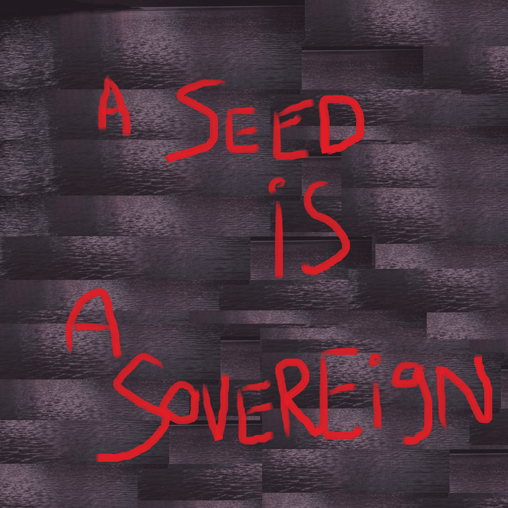 A Seed is a Sovereign by Kiran Leonard (Compilation): Reviews, Ratings ...