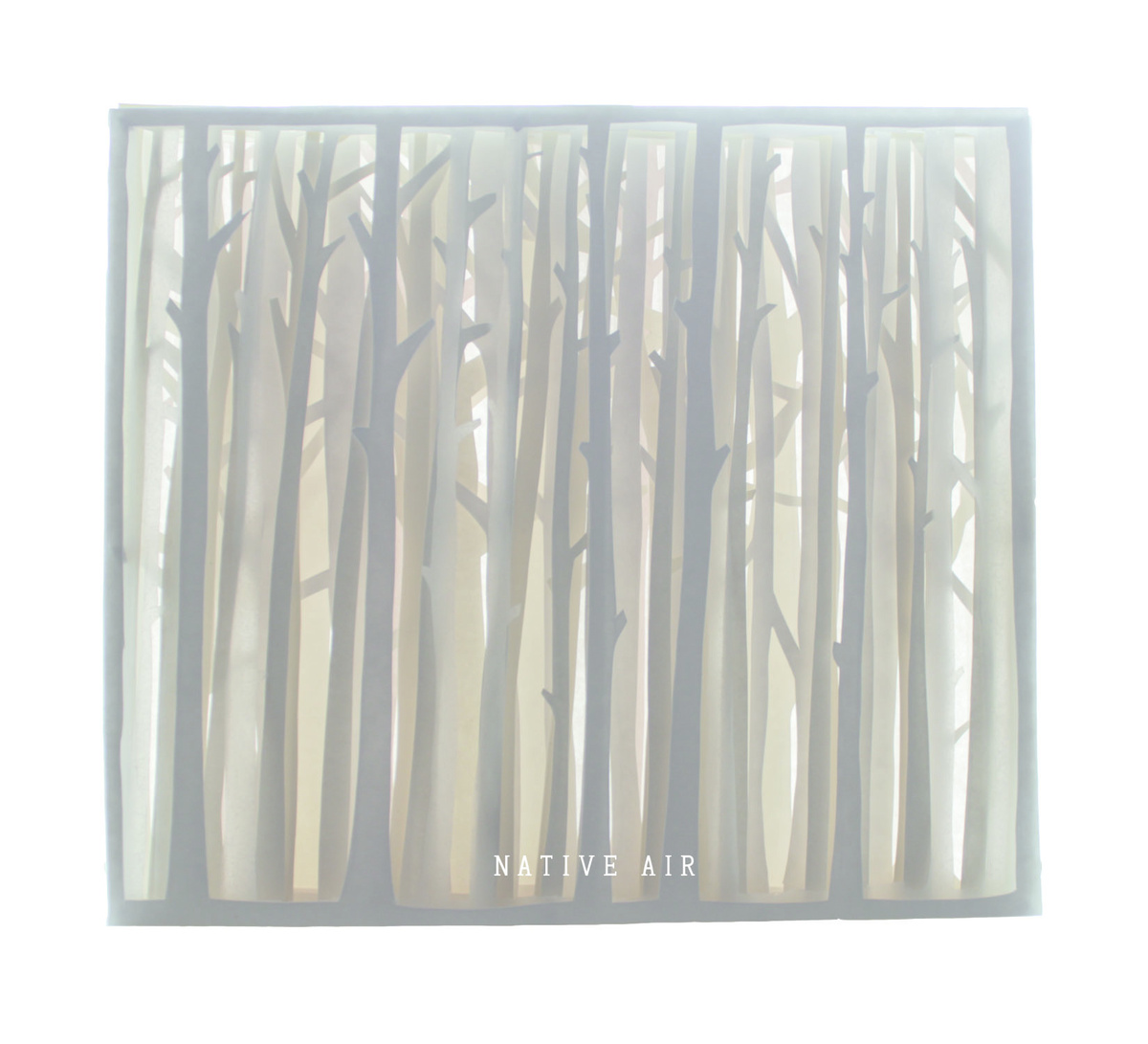 Native Air by Lowland Hum (Album, Singer-Songwriter): Reviews, Ratings ...