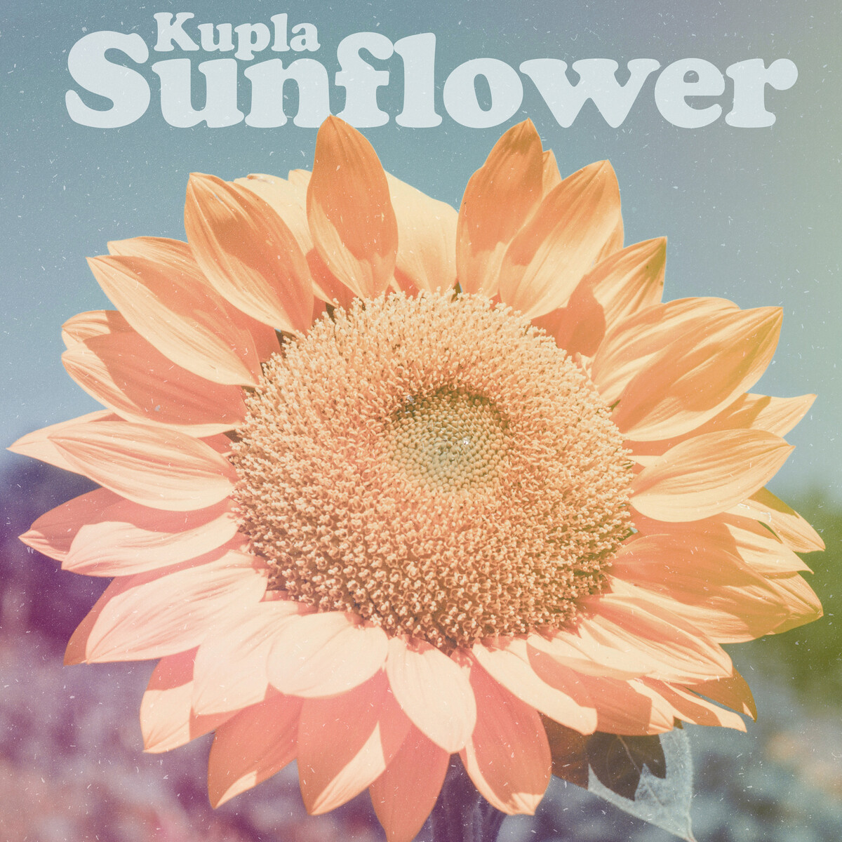Sunflower by Kupla (Single): Reviews, Ratings, Credits, Song list ...