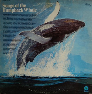 Dr. Roger Payne Albums: songs, discography, biography, and listening ...