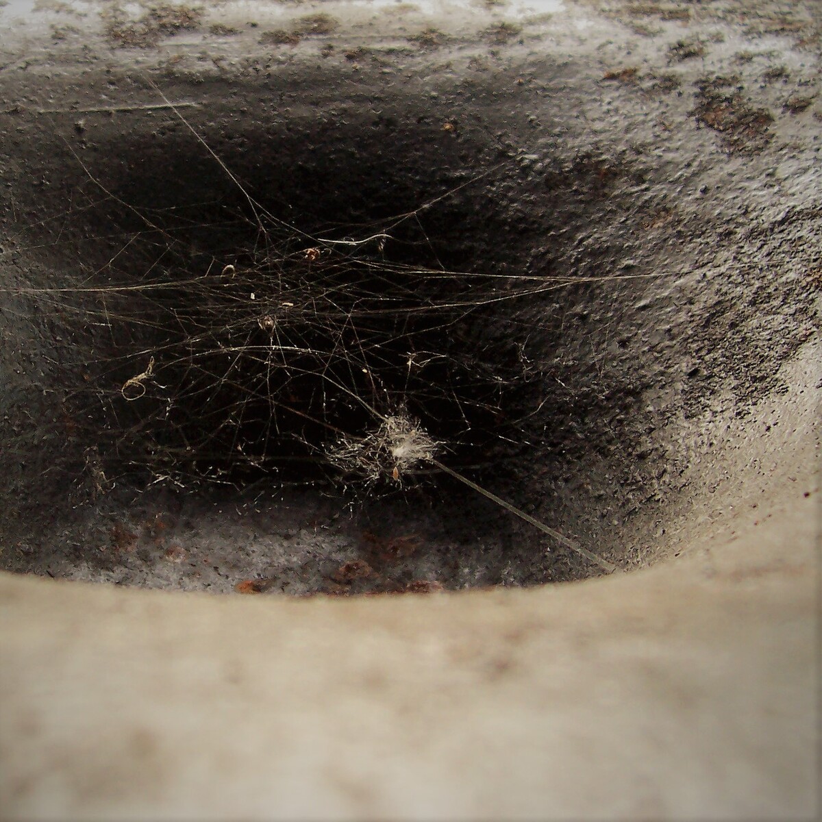 Physical Memory by David Kristian (Single): Reviews, Ratings, Credits ...