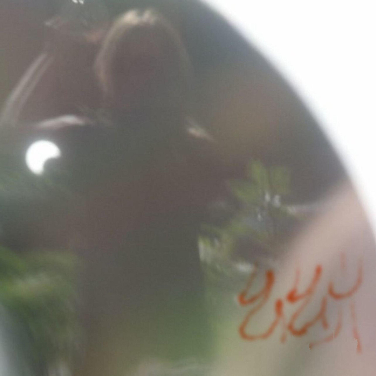 YINSU Albums: songs, discography, biography, and listening guide - Rate ...