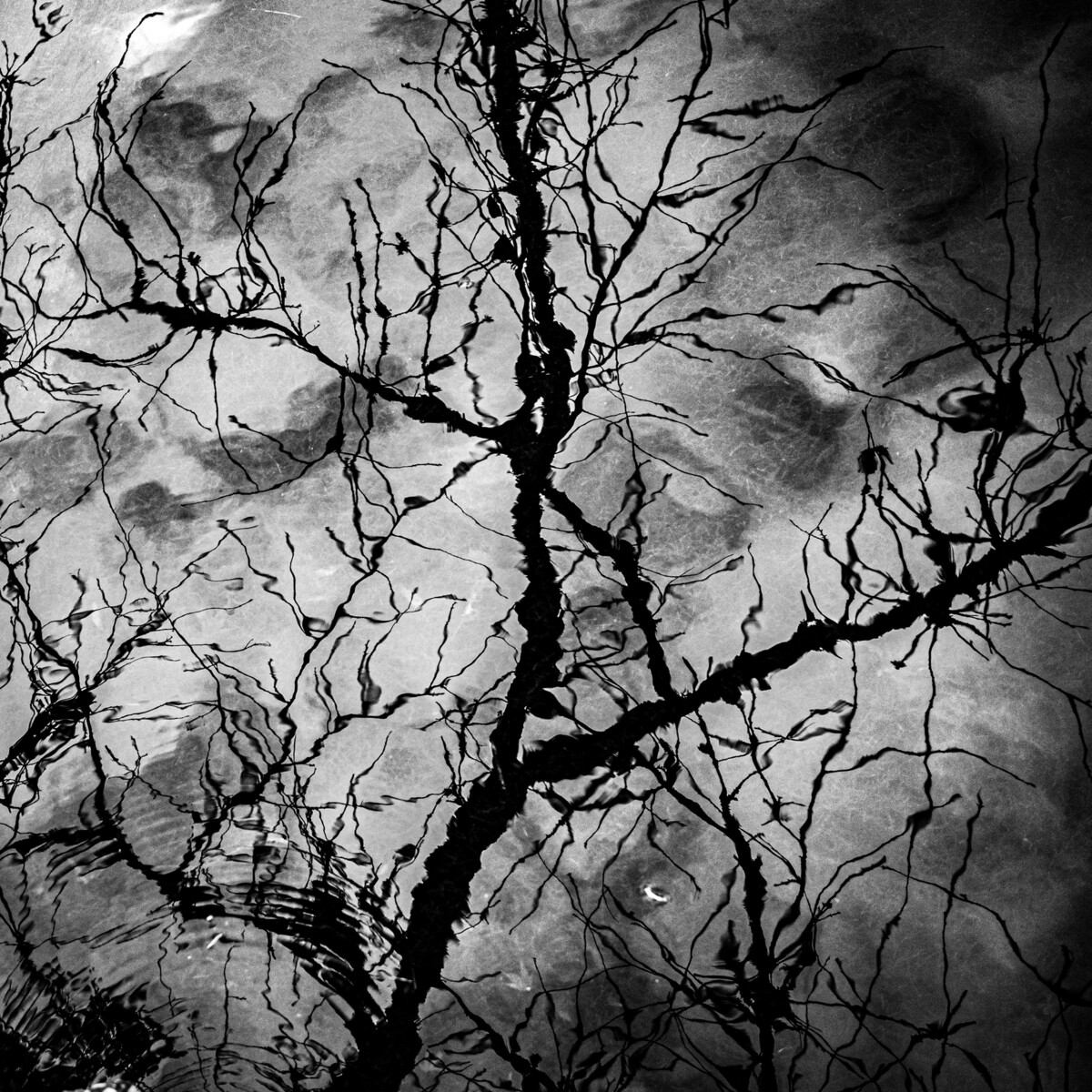 Permafrost by Daniel Menche (Album): Reviews, Ratings, Credits, Song ...