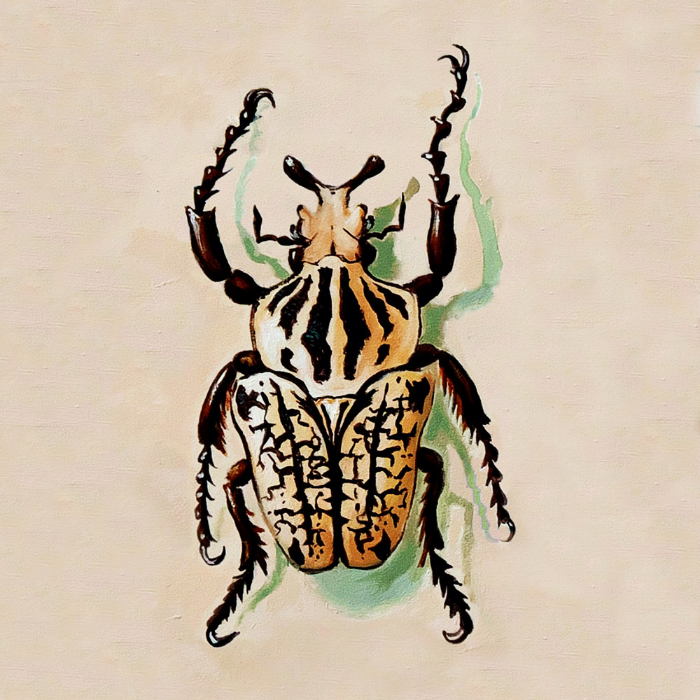 State of Alert by Frustration (Single, Post-Punk): Reviews, Ratings ...