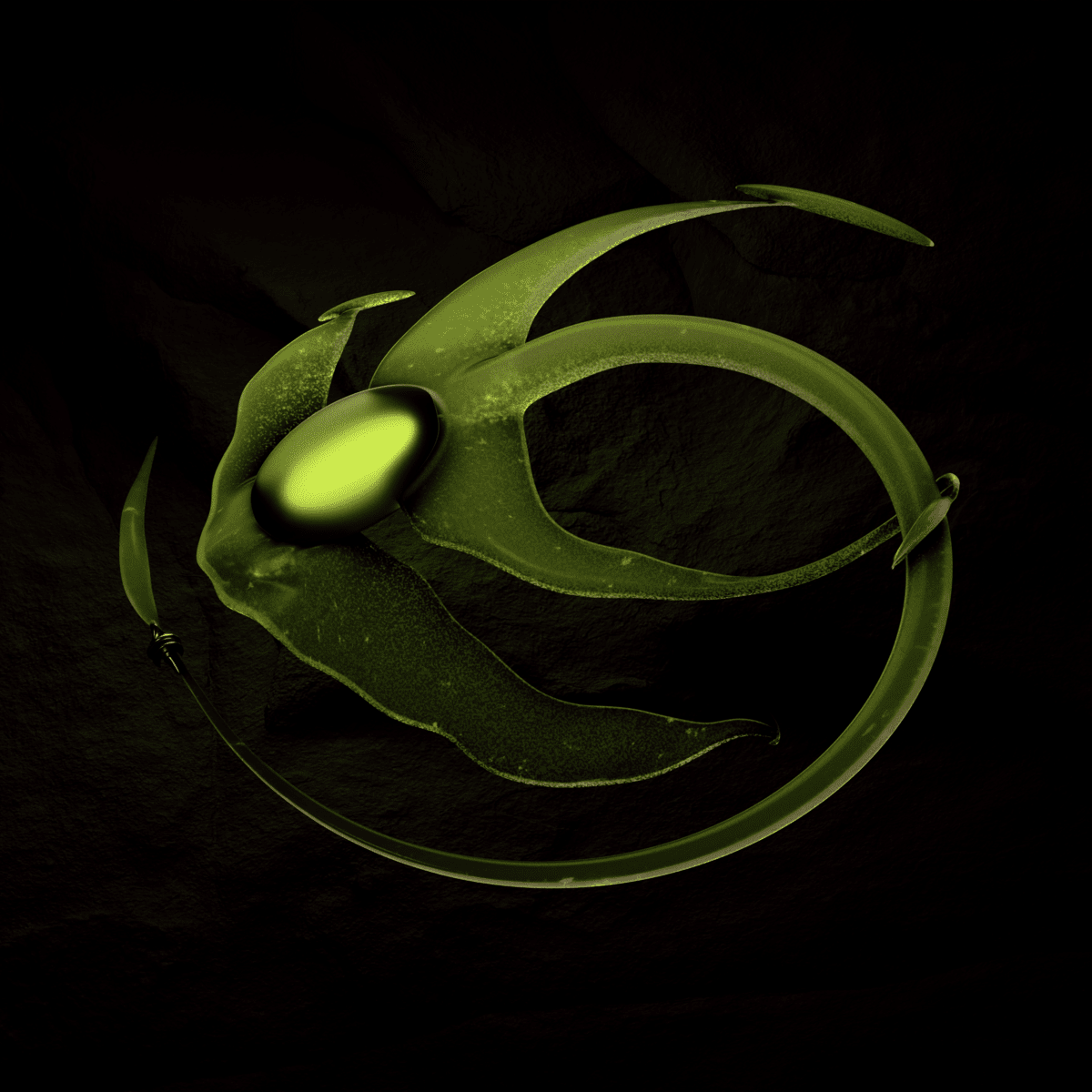 Musik by Command D (Single): Reviews, Ratings, Credits, Song list ...