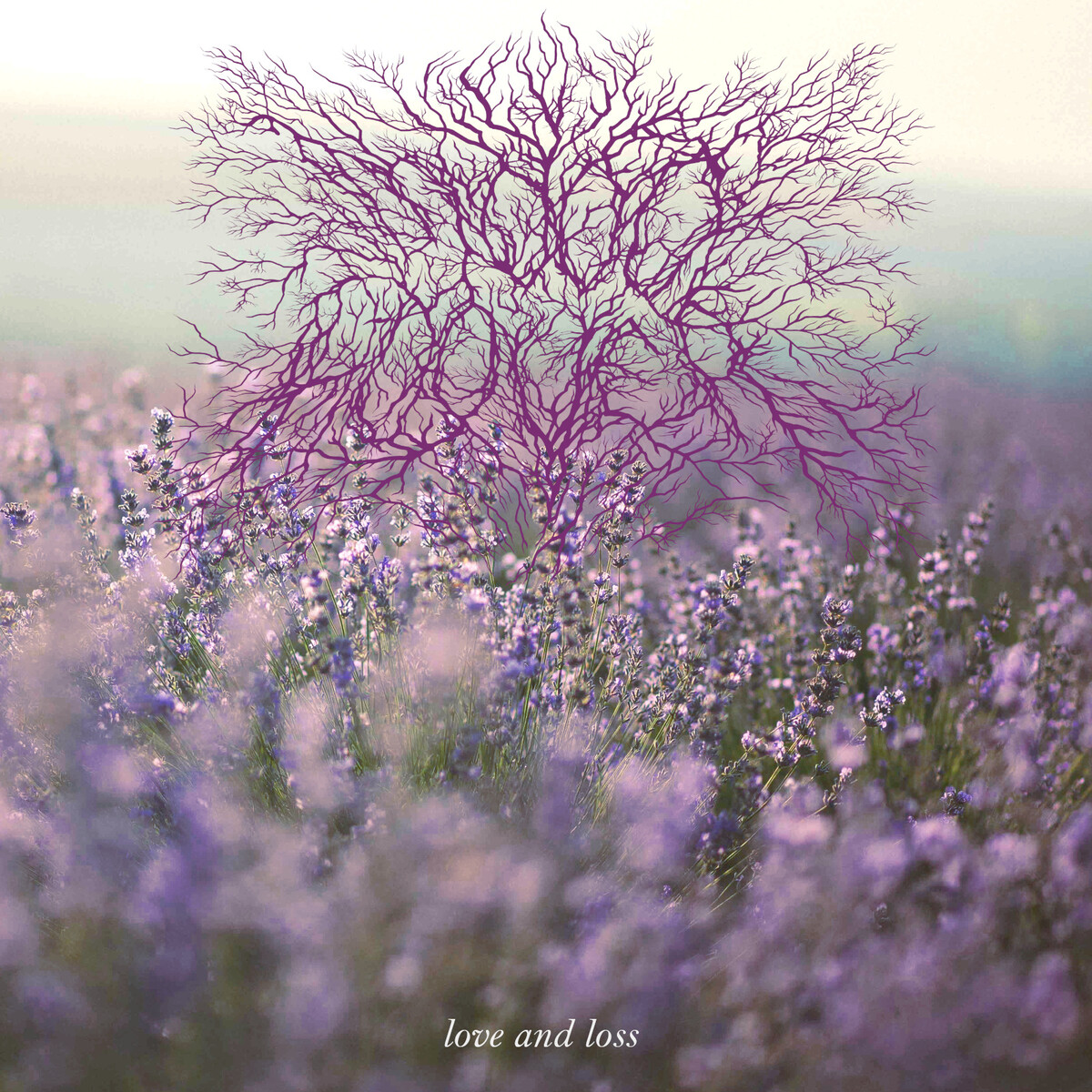 Mood Hoover Albums: songs, discography, biography, and listening guide ...