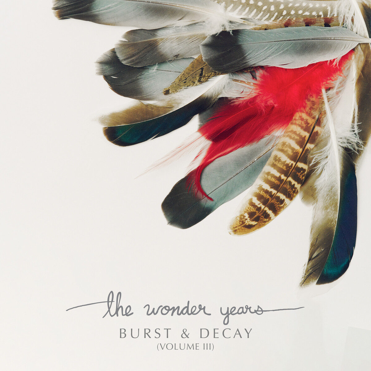 Wyatt's Song (Your Name) by The Wonder Years (Single): Reviews, Ratings, Credits, Song list ...