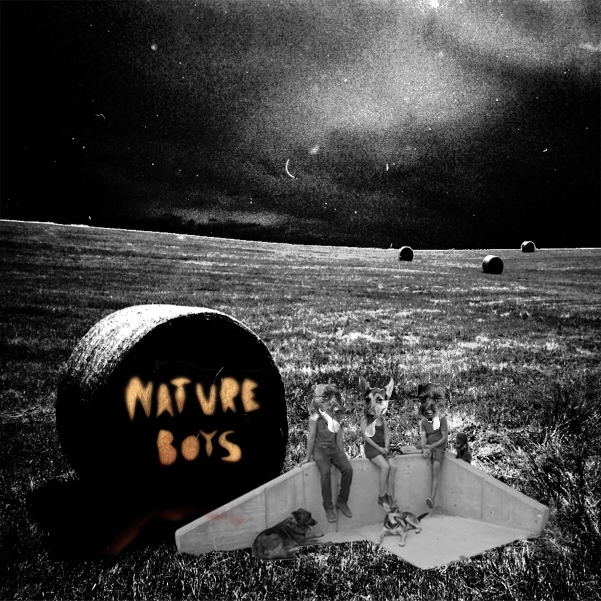 Nature Boys 2nd LP by Nature Boys (Album): Reviews, Ratings, Credits ...