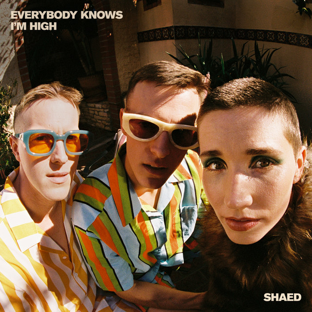 Everybody Knows I'm High by SHAED (Single): Reviews, Ratings, Credits ...